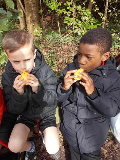 Foundry Lane Primary School - We had a lovely outdoor learning day with ...